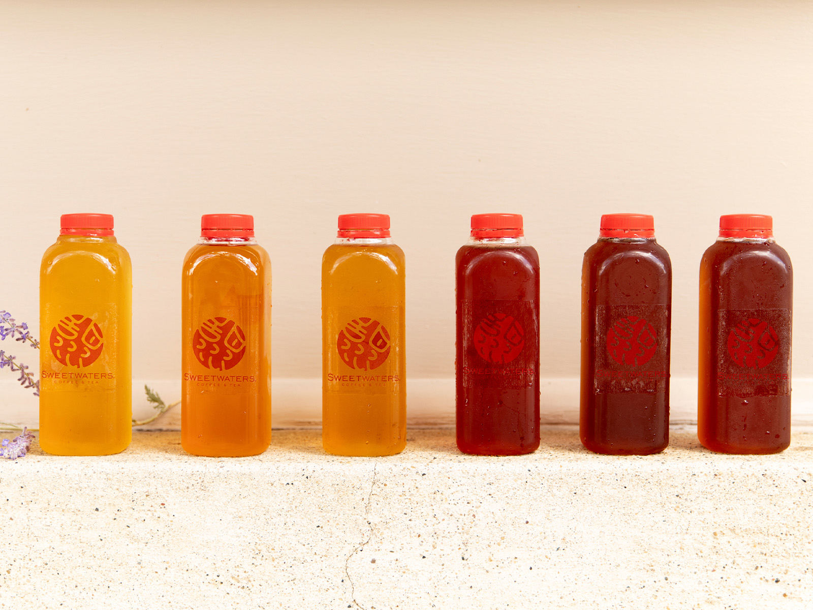 Real Iced Tea 6 Pack